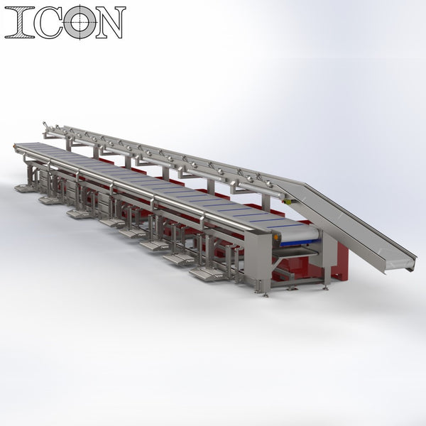 Pace Line Conveyors | Icon Engineering, Wisbech, Cambridgeshire